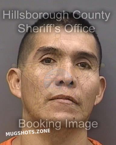 CARMEN ERNESTO 12/23/2023 - Hillsborough County Mugshots Zone
