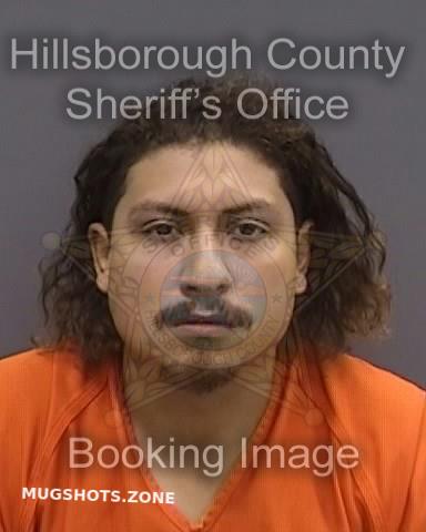 BARROSO ROBINSON 12/26/2023 - Hillsborough County Mugshots Zone