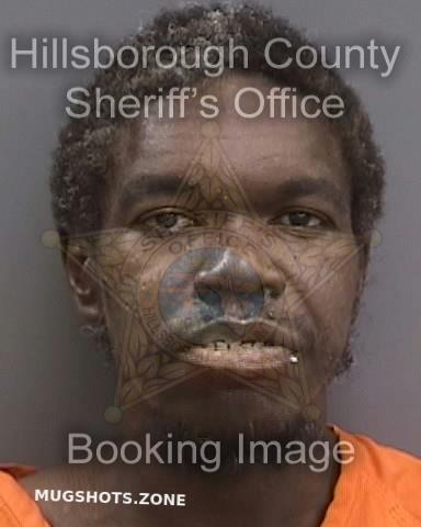 CAREY RUPERT 01/07/2024 - Hillsborough County Mugshots Zone