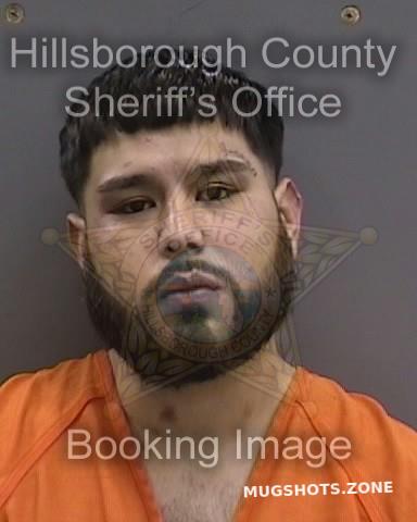 MEDRANO REYES JESUS JR 01/08/2024 - Hillsborough County Mugshots Zone