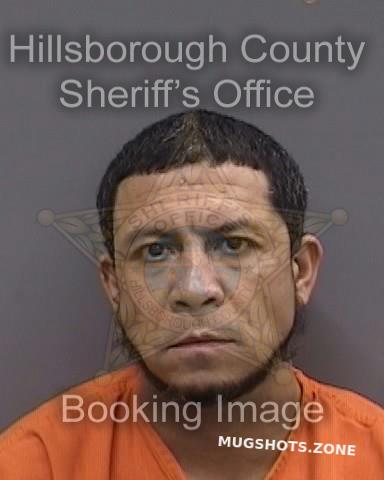 ALVAREZ-CRUZ EDWIN 01/19/2024 - Hillsborough County Mugshots Zone