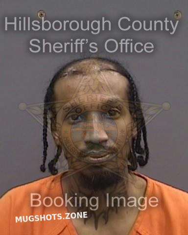 CAREW STEFON ALEXANDER 01/24/2024 - Hillsborough County Mugshots Zone