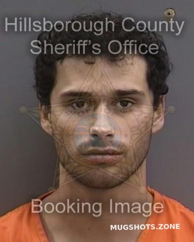 DOLAN PATRICK 01/27/2024 - Hillsborough County Mugshots Zone