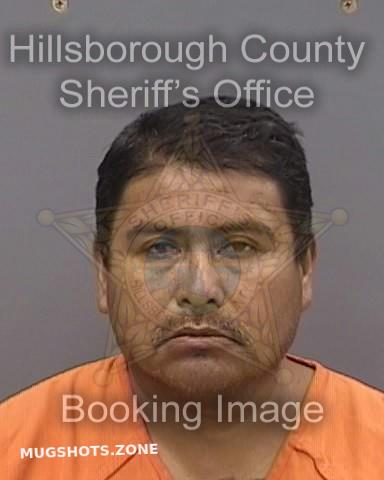 OLMOS MENDIOLA JUAN 01/29/2024 - Hillsborough County Mugshots Zone