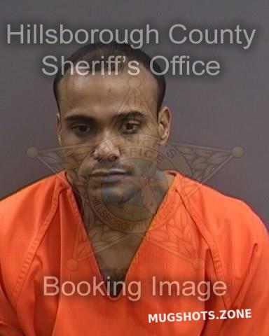 MILES LEVI 01/30/2024 - Hillsborough County Mugshots Zone