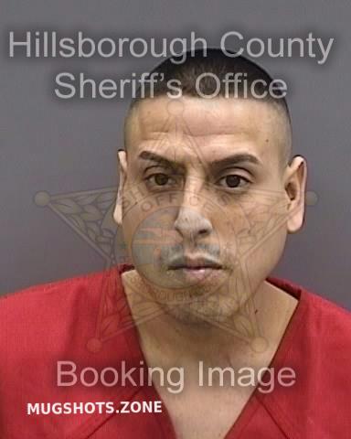 LANDEROS ANTONIO JR 02/01/2024 - Hillsborough County Mugshots Zone