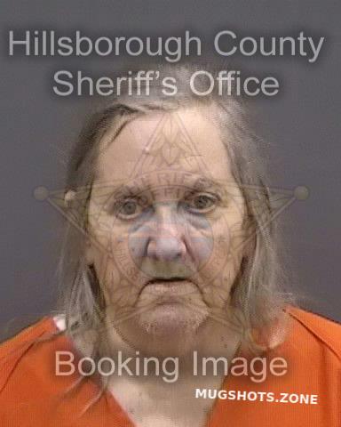 THOMAS SHELLEY 02/01/2024 - Hillsborough County Mugshots Zone