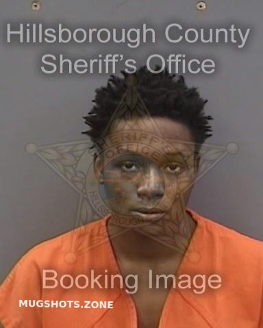 LEVIT TYVON II 02/01/2024 - Hillsborough County Mugshots Zone