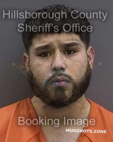 MEDRANO REYES JESUS JR 02/06/2024 - Hillsborough County Mugshots Zone
