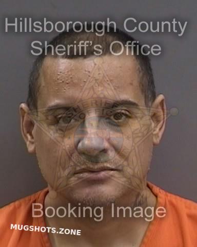 LEON ERIC 02/14/2024 - Hillsborough County Mugshots Zone