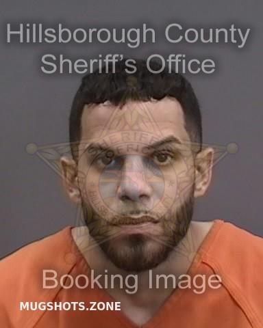 GORT ALEX 03/09/2024 - Hillsborough County Mugshots Zone