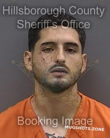 BENEGAS BENJAMIN 04/28/2024 - Hillsborough County Mugshots Zone