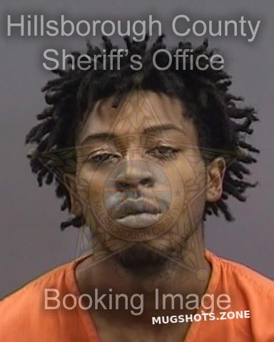 HENRY TONY II 06/01/2024 - Hillsborough County Mugshots Zone