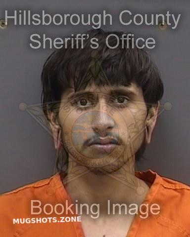 MCLEAN ETHAN 06/06/2024 - Hillsborough County Mugshots Zone