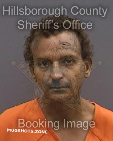 BROWNSTEAD JASON 06/06/2024 - Hillsborough County Mugshots Zone