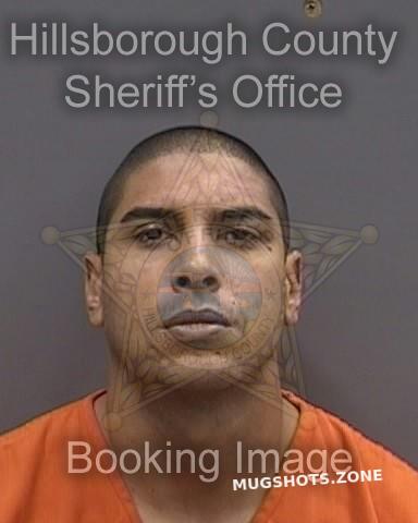 NAVARRO VIVAS HARVEY 06/09/2024 - Hillsborough County Mugshots Zone