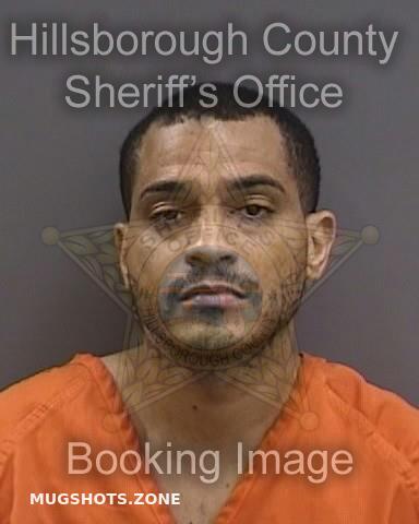MILLS DARIUS 06/13/2024 - Hillsborough County Mugshots Zone