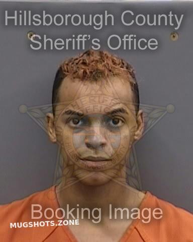 THOMAS JORDAN 06/25/2024 - Hillsborough County Mugshots Zone