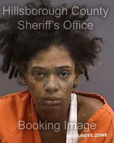 RAWLS DIAMOND 07/11/2024 - Hillsborough County Mugshots Zone