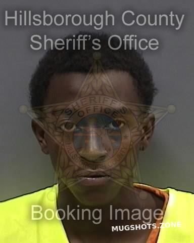 HOLTON DANIEL JR 07/11/2024 - Hillsborough County Mugshots Zone