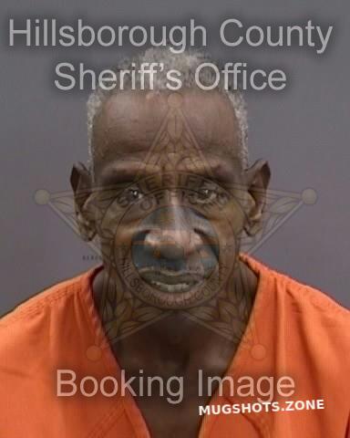 DAVIS MICHAEL 07/18/2024 - Hillsborough County Mugshots Zone
