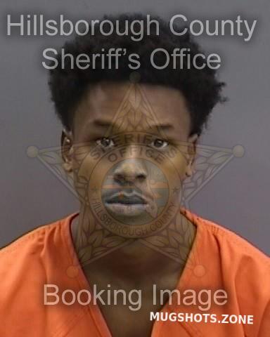 DAVIS DEANGELO 07/22/2024 - Hillsborough County Mugshots Zone