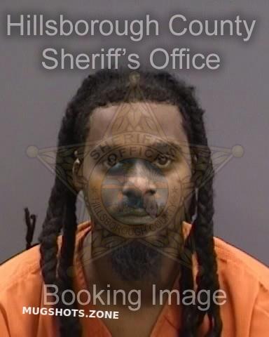 GOLDEN DEMETRIUS 07/30/2024 - Hillsborough County Mugshots Zone