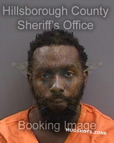 AUSTIN ANTHONY 07/31/2024 - Hillsborough County Mugshots Zone