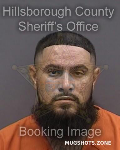 NEGRON ANGEL 08/01/2024 - Hillsborough County Mugshots Zone