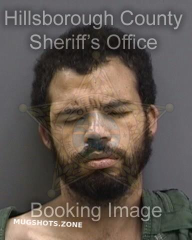 MCAFEE SHAUN 08/05/2024 - Hillsborough County Mugshots Zone