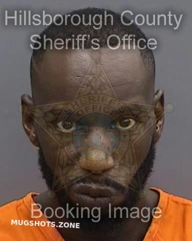 CARR NIGEL 08/09/2024 - Hillsborough County Mugshots Zone