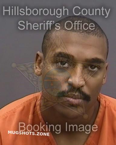 COX DOMINIC 08/12/2024 - Hillsborough County Mugshots Zone