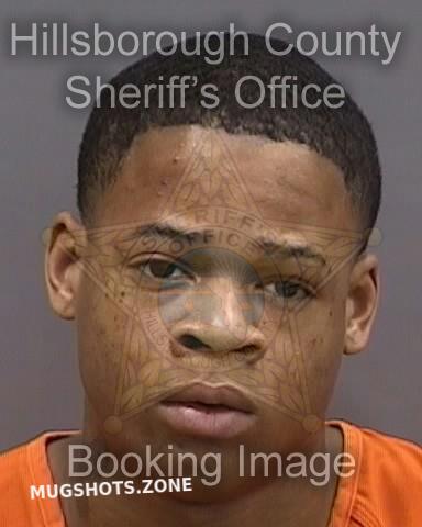 WILSON WAYNE 08/13/2024 - Hillsborough County Mugshots Zone