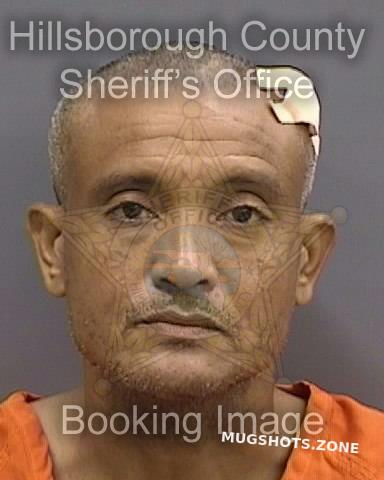 CEDENO ANGELO 08/13/2024 - Hillsborough County Mugshots Zone