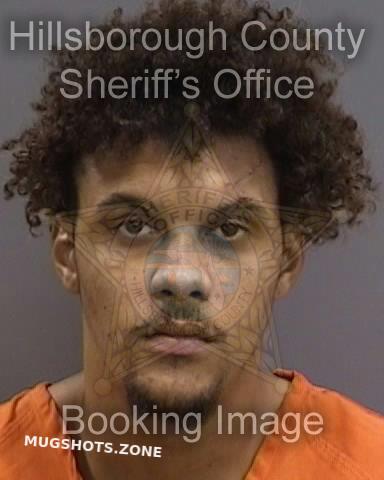 RHEA ALEXANDER 08/14/2024 - Hillsborough County Mugshots Zone