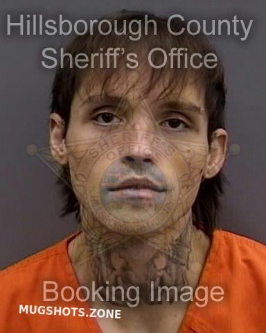 WOLFE JOSEPH 08/15/2024 - Hillsborough County Mugshots Zone