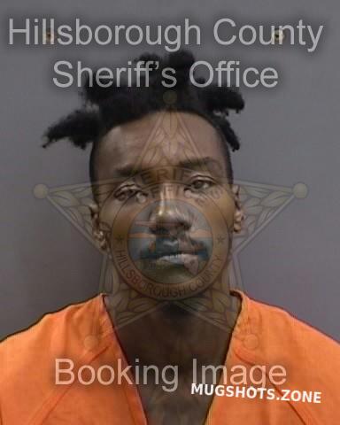 PALMORE ANDRE JR 08/17/2024 - Hillsborough County Mugshots Zone