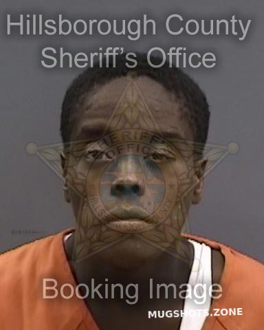 HANKERSON JAMIE 08/19/2024 - Hillsborough County Mugshots Zone
