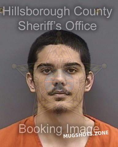 EVERSON SEAN 08/19/2024 - Hillsborough County Mugshots Zone