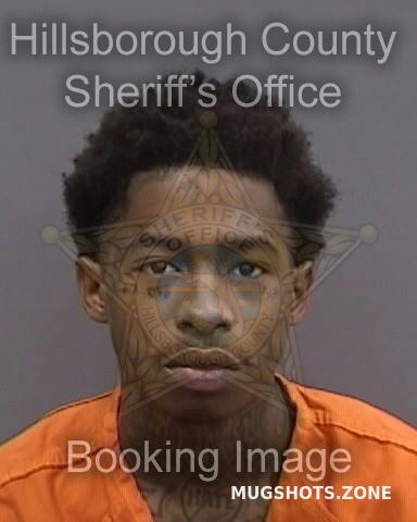 HALL JORDAN 08/23/2024 - Hillsborough County Mugshots Zone