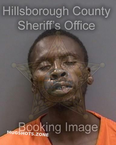 CLARK DEVLIN 08/26/2024 - Hillsborough County Mugshots Zone