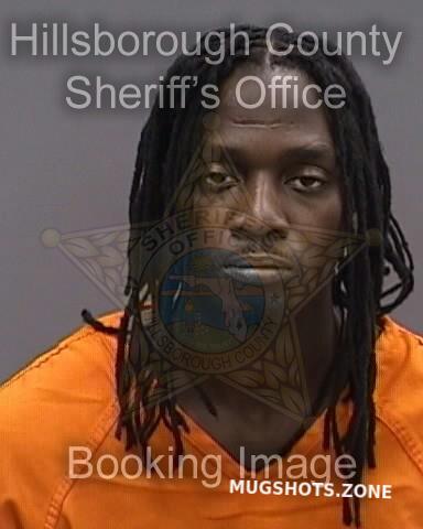 YOUNG DARRYL JR 08/28/2024 - Hillsborough County Mugshots Zone