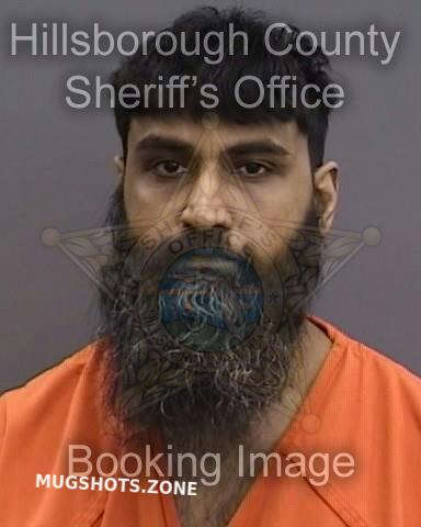 ESKE JORDAN 08/28/2024 - Hillsborough County Mugshots Zone