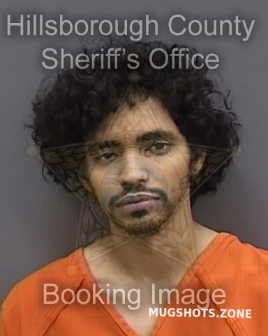 FIELDS WILLIAM II 08/29/2024 - Hillsborough County Mugshots Zone