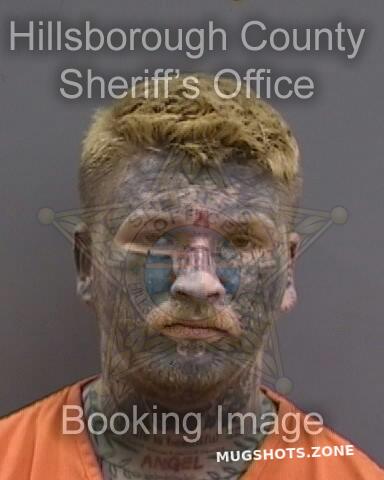 SCARCELLI ETHAN 09/07/2024 - Hillsborough County Mugshots Zone
