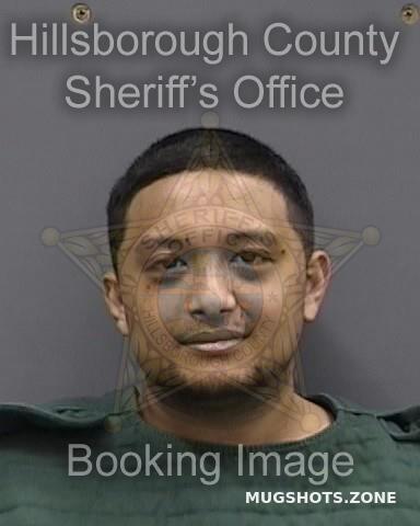 CHACKO ALEX 09/16/2024 - Hillsborough County Mugshots Zone