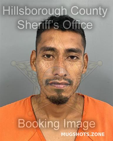 RIVERA SERGIO 10/10/2024 - Hillsborough County Mugshots Zone