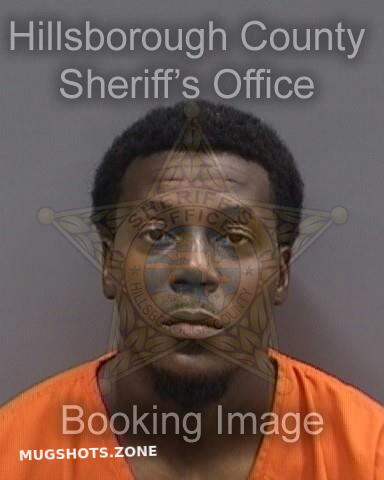 LEWIS ERIC JR 10/15/2024 - Hillsborough County Mugshots Zone