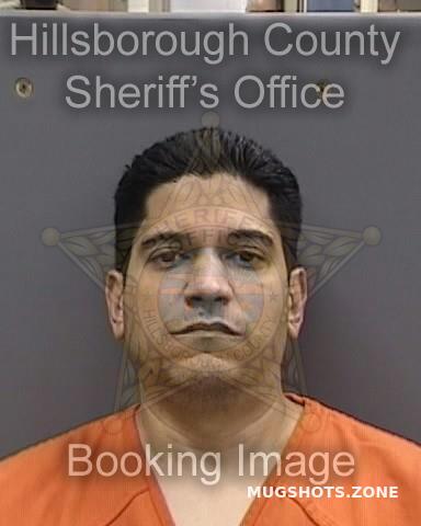BOJITO YAMBO ANGEL 10/21/2024 - Hillsborough County Mugshots Zone