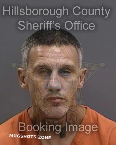 DAVIS AARON 10/24/2024 - Hillsborough County Mugshots Zone